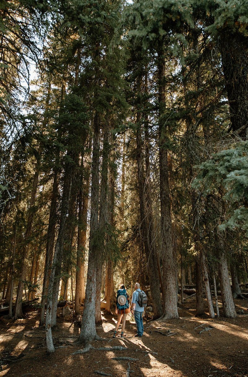 Home - Idaho Wedding & Elopement Photographer