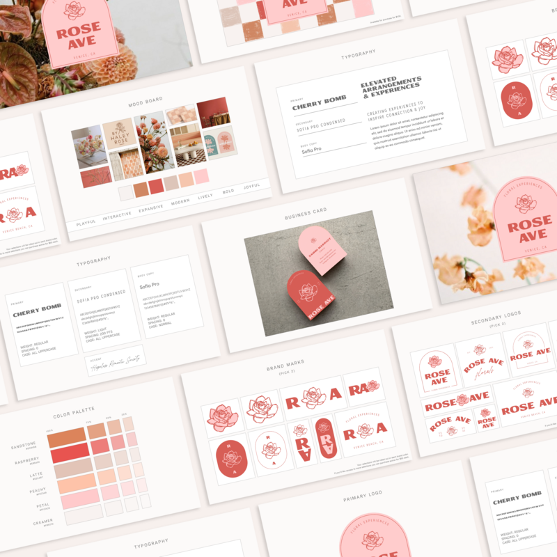 Welcome to Amuse Design Studio! Bold Branding Design