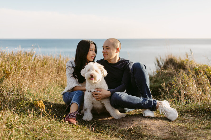 Pet Photography | Wedding + Dog Photographer + Videographer