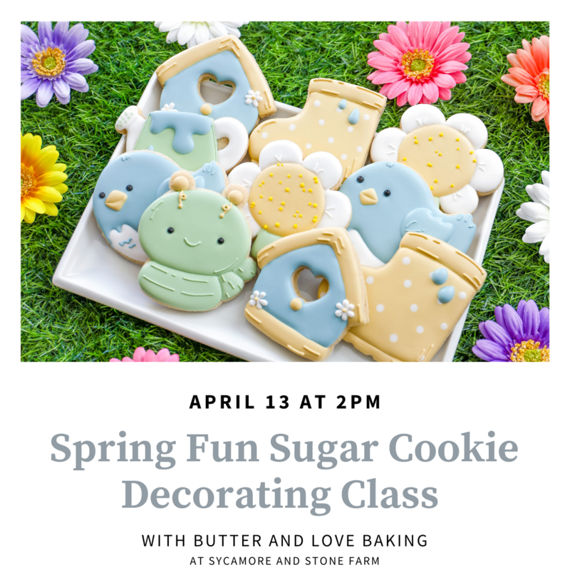 Upcoming Events - Showit Blog