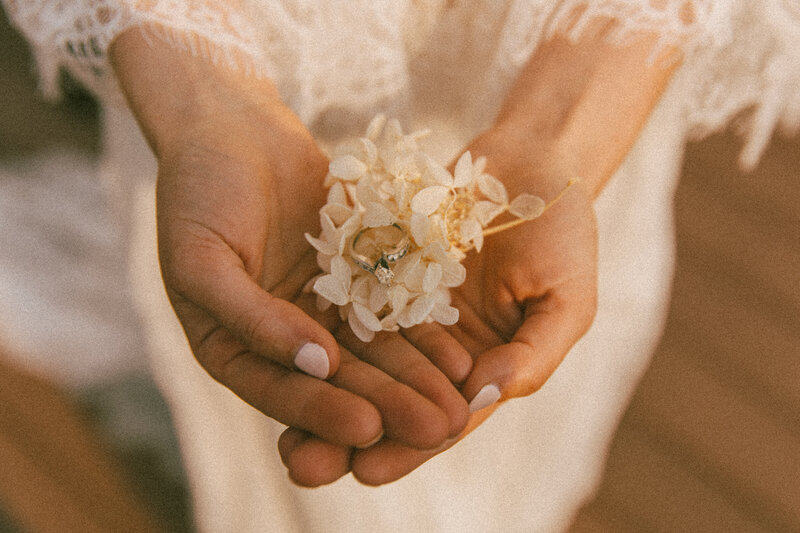 Home [sarahcolemanphotography.com]