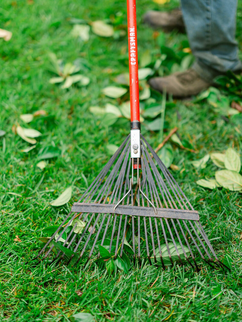 Myrtle Beach Landscaping Company Near You | Free Quote