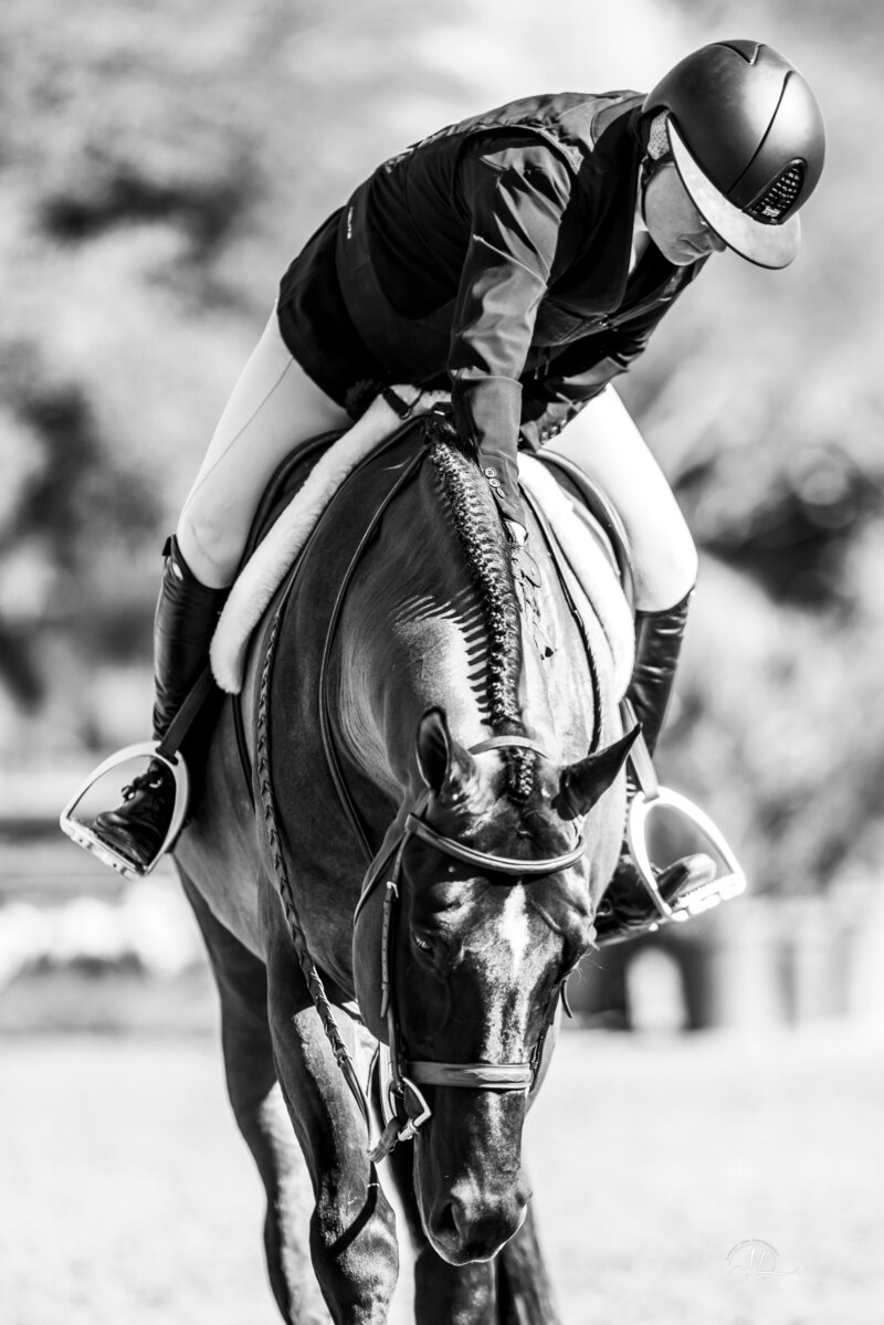 PRIVATE CLIENT SHOW COVERAGE | Lindsey Long Equine Photography