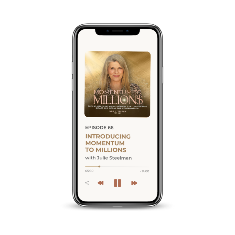 Momentum to Millions with Julie Steelman