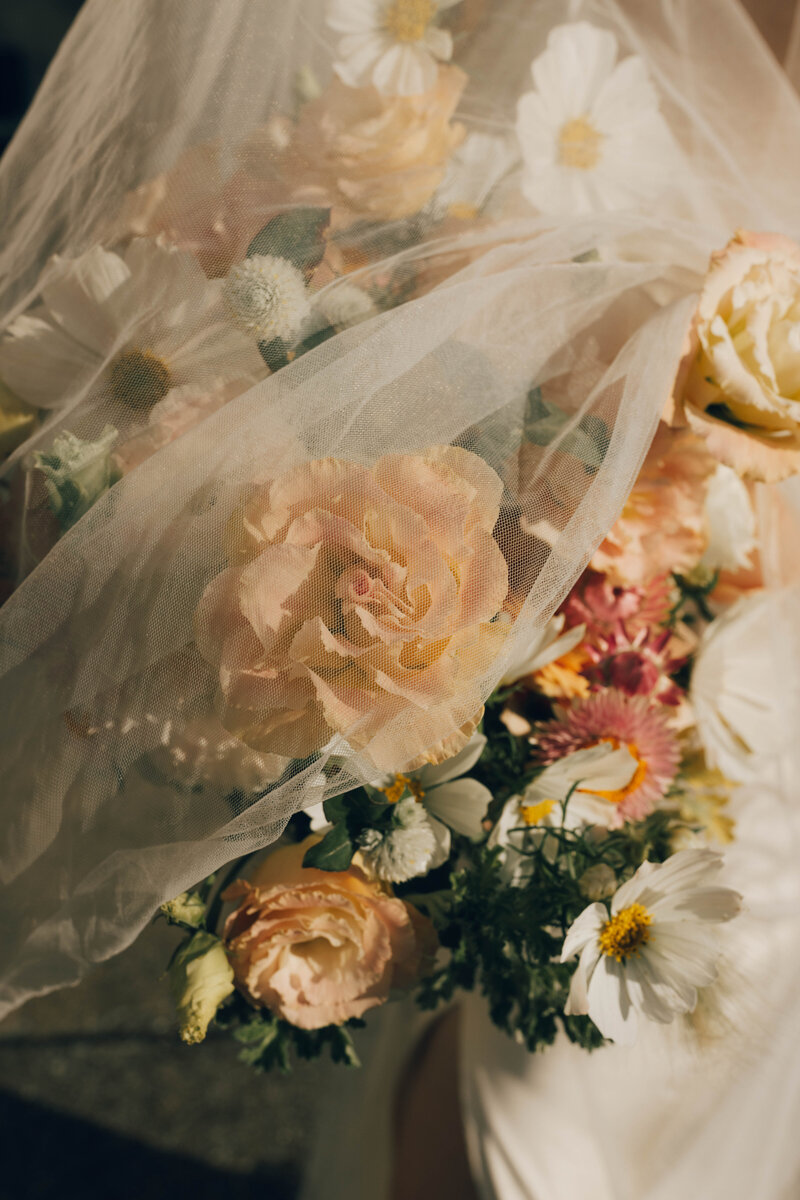 Home | Kayla Shenk Photography