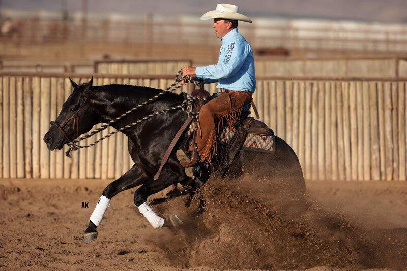 Western Horse Photography