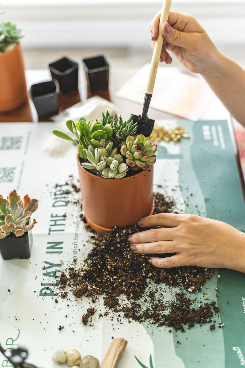 Virtual Workshops for Corporations