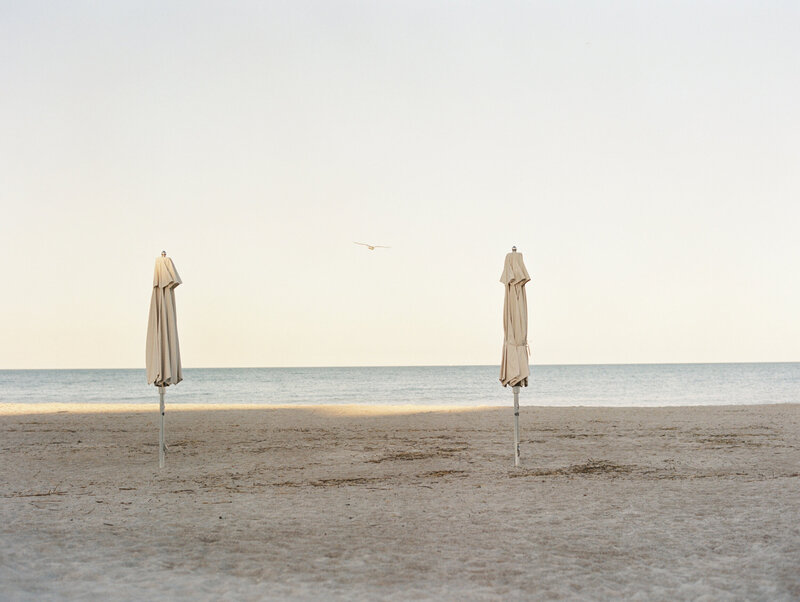 Meet Morgan Wainwright | Lafayette Wedding Photography | Morgan Alysse ...