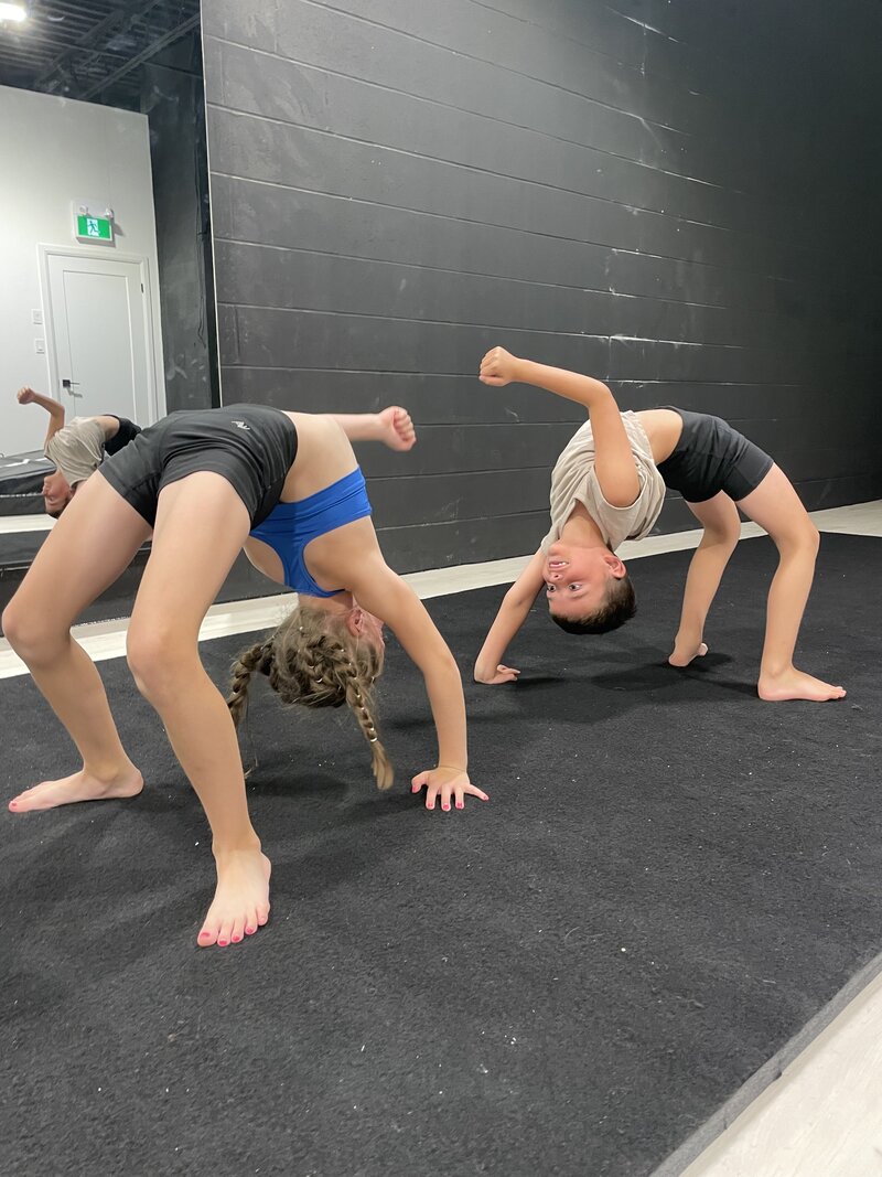 Dance Unlimited Co: Home Page