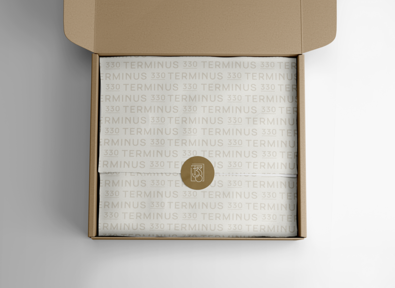 Project Case Study | Terminus 330