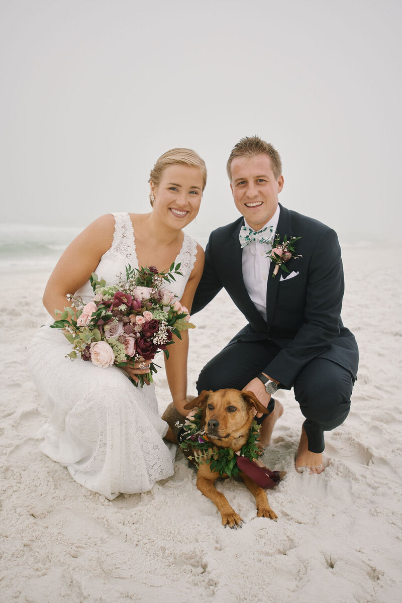 Contact Kiss The Bride