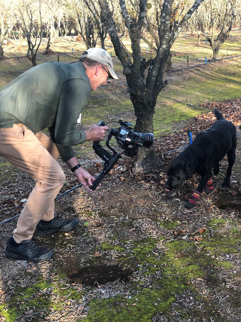 Lomax Video Production