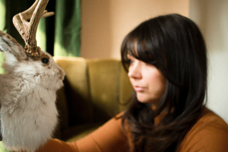 Tamed Jackalope Studio | Web Design And Graphic Design