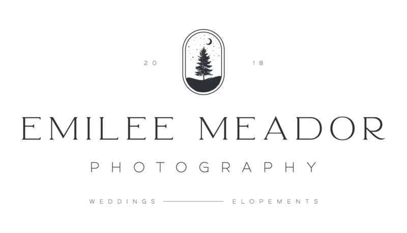 Midwest + Destination Wedding & Elopement Photographer | Emilee Meador ...