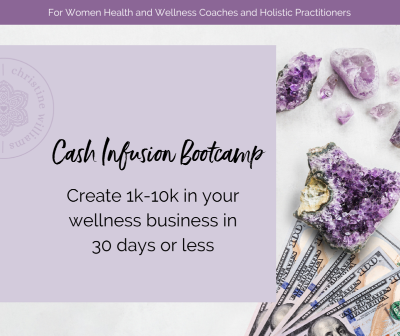 Shine Wellthy 6 figure business coaching