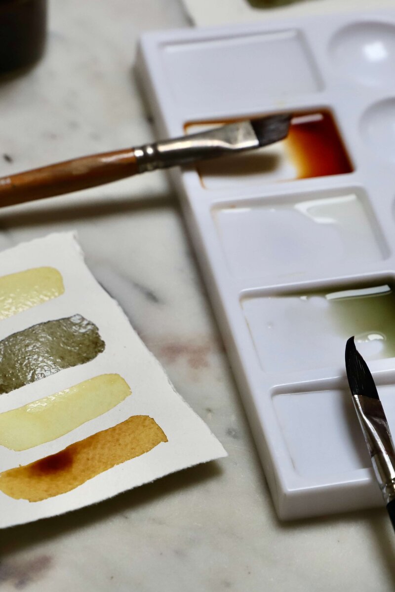 Make Paints from Plants Course