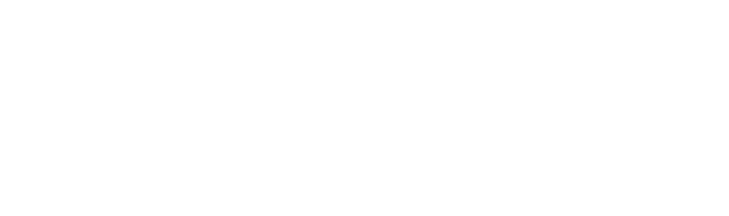 Lyndsey Livingston Photography