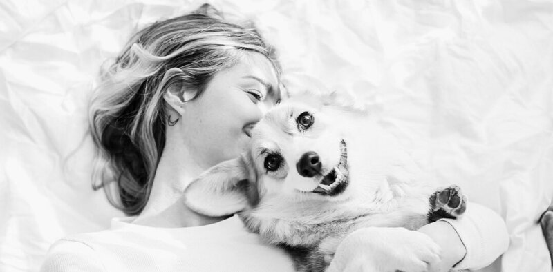 IKONICFOX | Creators