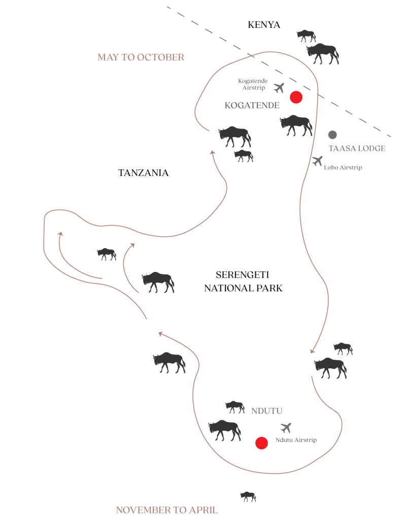 TAASA Migration Camp | Luxury Serengeti Safari & Migration