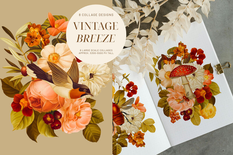 Commercial Use Graphics & Web Design | Avalon Rose Design