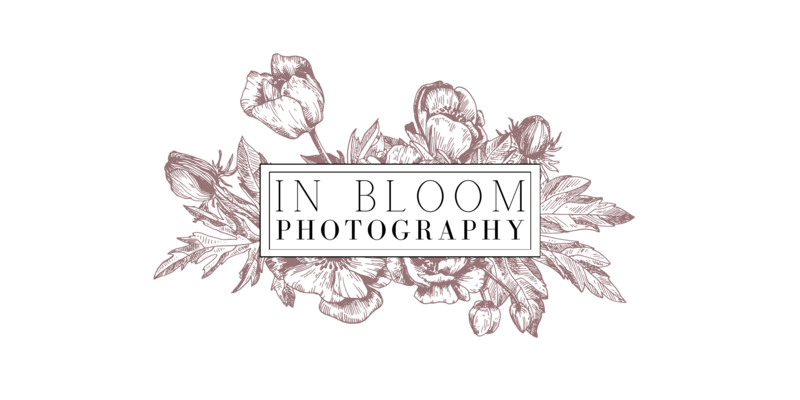 In Bloom Photography | North Carolina Wedding Photographer