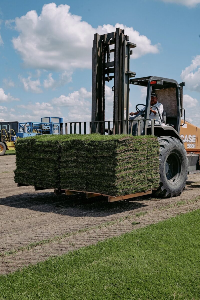 Horizon Grass Farms | Premium Texas Turf Grass Since 1978