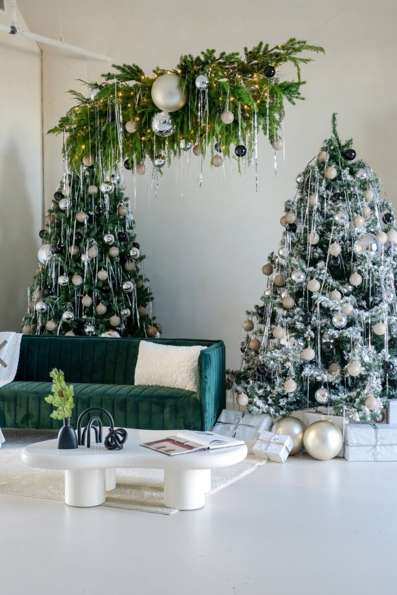 Christmas Mini Sessions with SCP