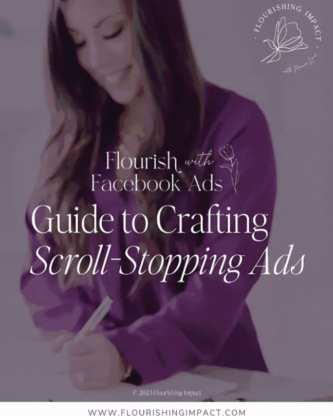 Facebook And Instagram Ads Agency Training And Mentorship